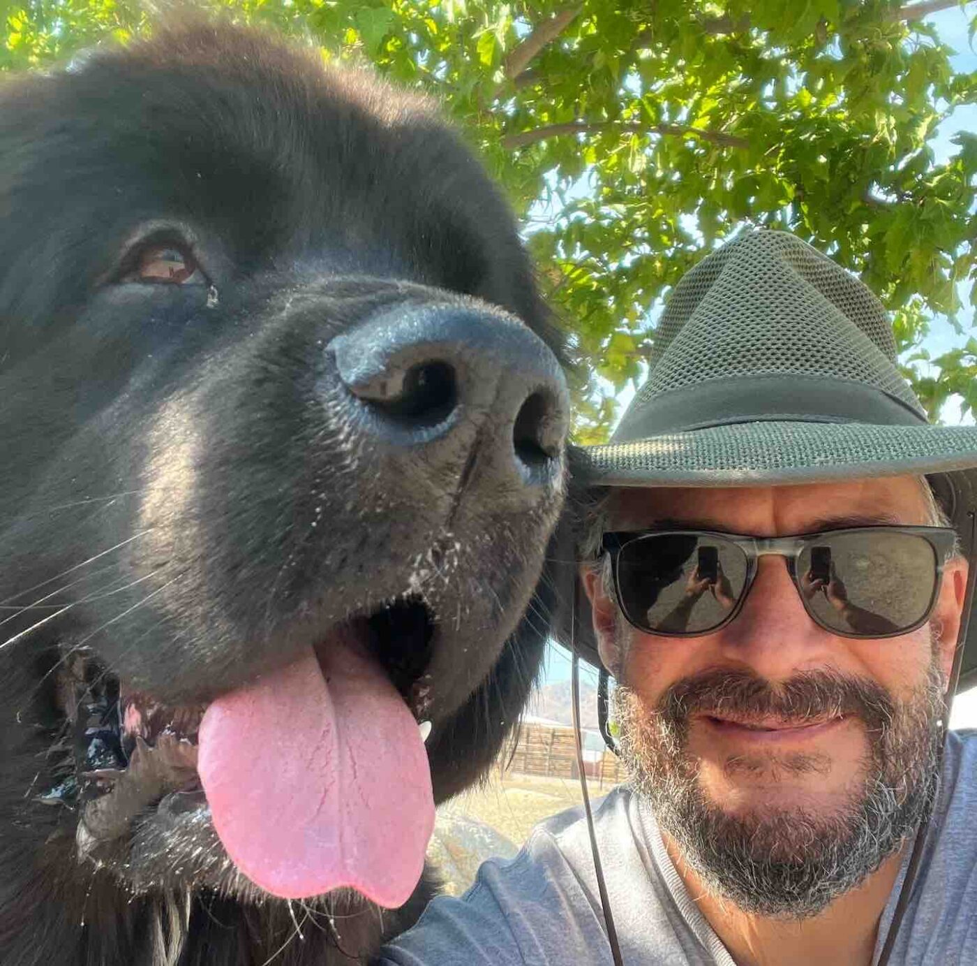 Scott Rabinowitz - Herd Freed Hartz