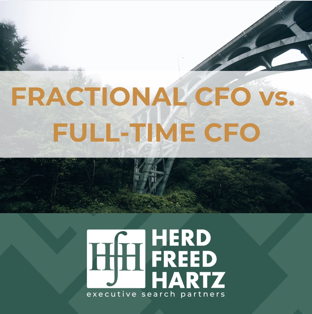Fractional CFO vs Full Time CFO | Services, Roles & Costs